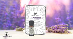 Lavender Essential Oil Information Guide – Moon Haven