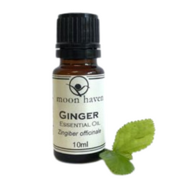 GINGER ESSENTIAL OIL – Moon Haven